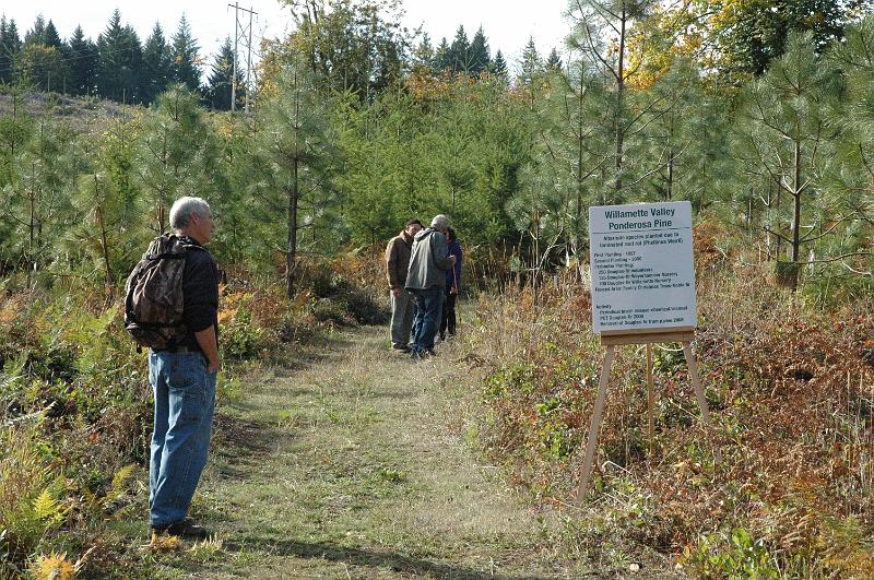National Tree Farm Field Day/TFFD 32