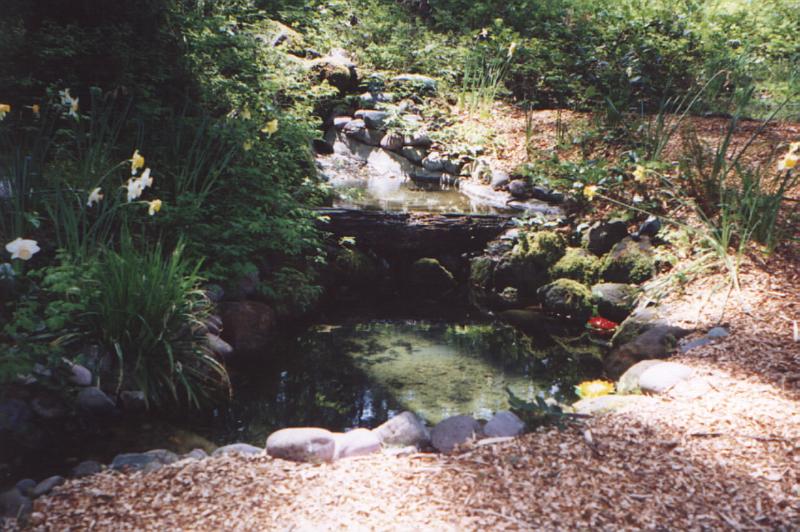 General photos/Decorative stream watergarden created from house water ...